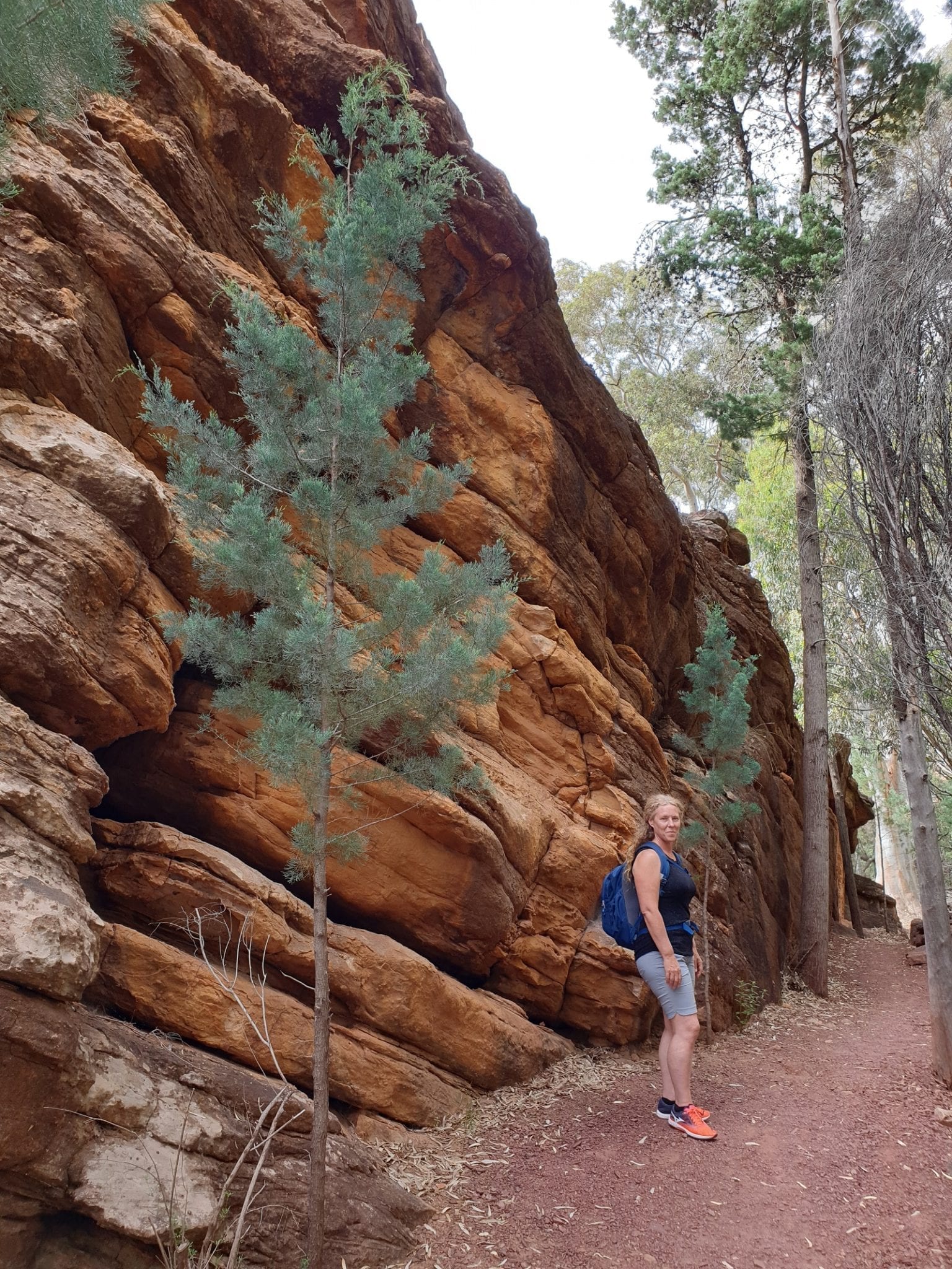 Flinders Ranges Glamping - serenity in the bush