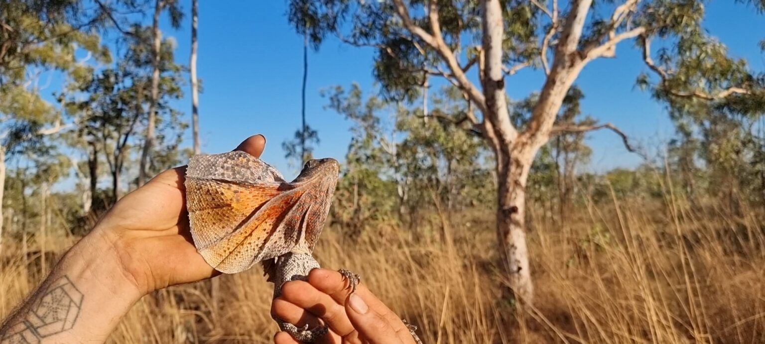 Ultimate Broome to Darwin Tour - find out what to expect