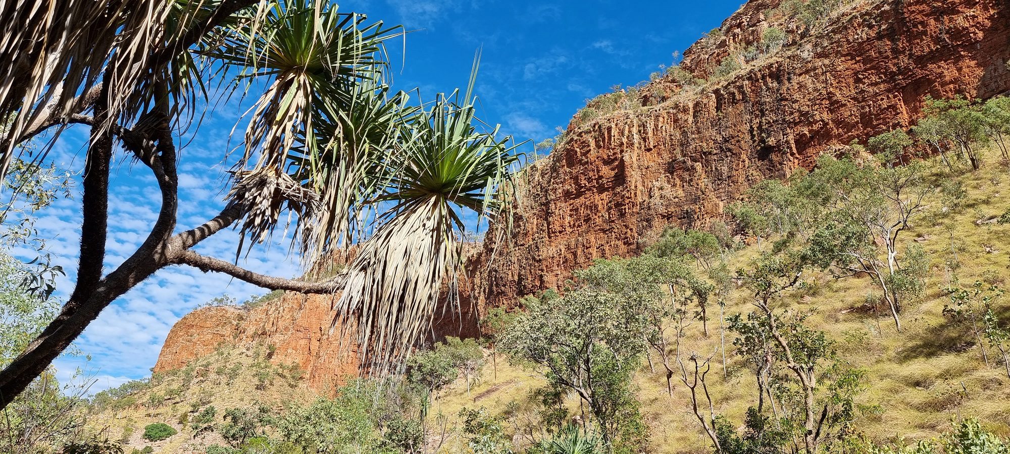 Ultimate Broome to Darwin Tour - find out what to expect